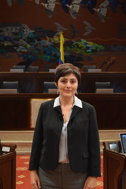 Carolina Giraldo Botero | Citaciones